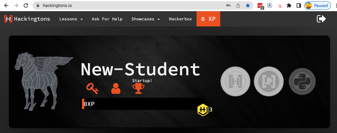 Hackingtons - Parents' Guide